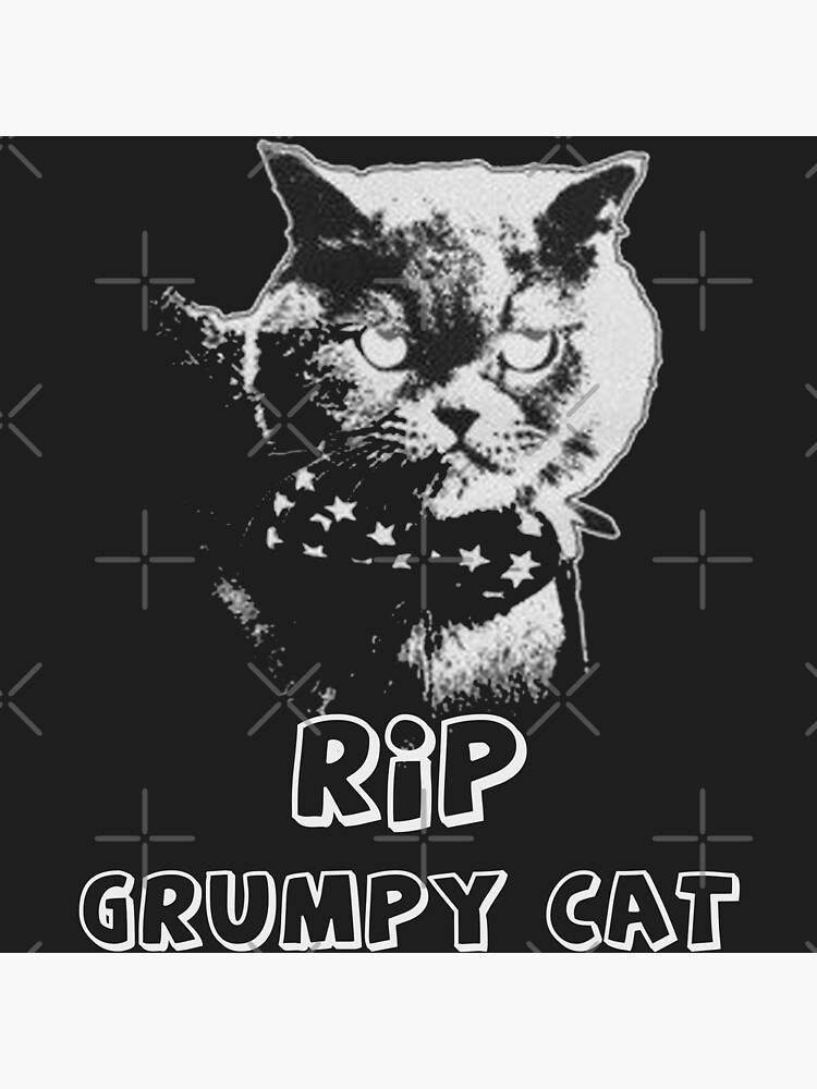 "Rip Grumpy Cat Meme" Photographic Print by bocaedewe | Redbubble