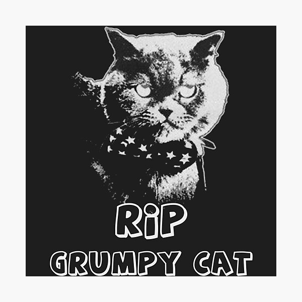 "Rip Grumpy Cat Meme" Photographic Print by bocaedewe | Redbubble