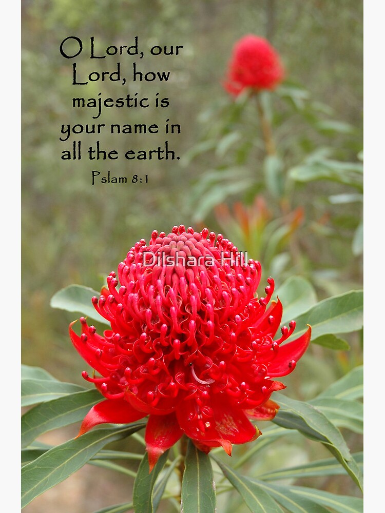 "Psalm 8:1" Art Print by dilshara | Redbubble