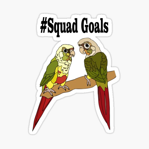 "#Squad Goals" Sticker for Sale by birbistheword | Redbubble