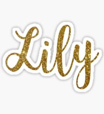 Lily Name Stickers | Redbubble