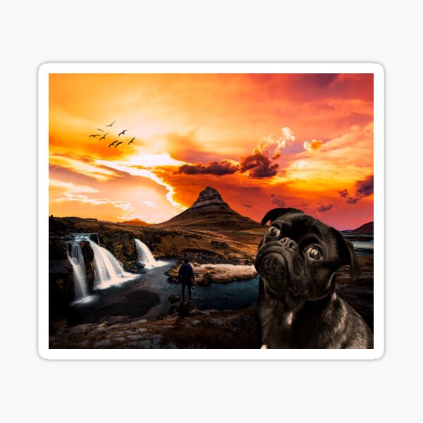 "A Lovely Evening" Sticker by blacknight | Redbubble