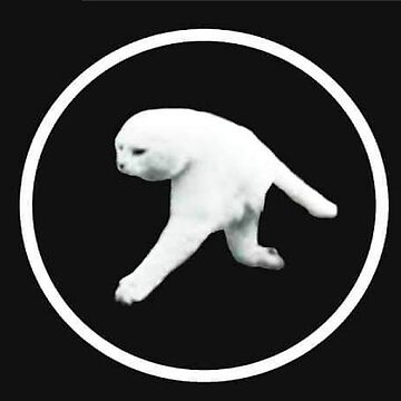 "Aphex Twin Cat two-legged cat meme parody" Photographic Print for Sale ...