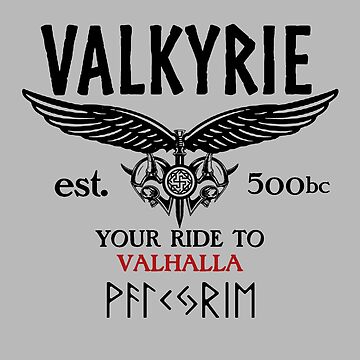 "Valkyrie" Kids T-Shirt for Sale by FantasySkyArt | Redbubble