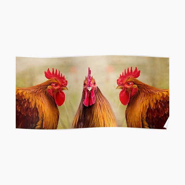 "Hen Party, Gulp!" Poster for Sale by lurcherd | Redbubble