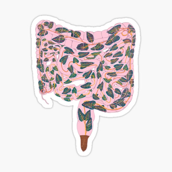 "Intestinal Terrarium" Sticker for Sale by RaLiz | Redbubble