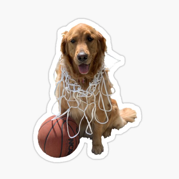 Air Bud Logo