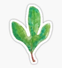 Sassafras Gifts & Merchandise | Redbubble