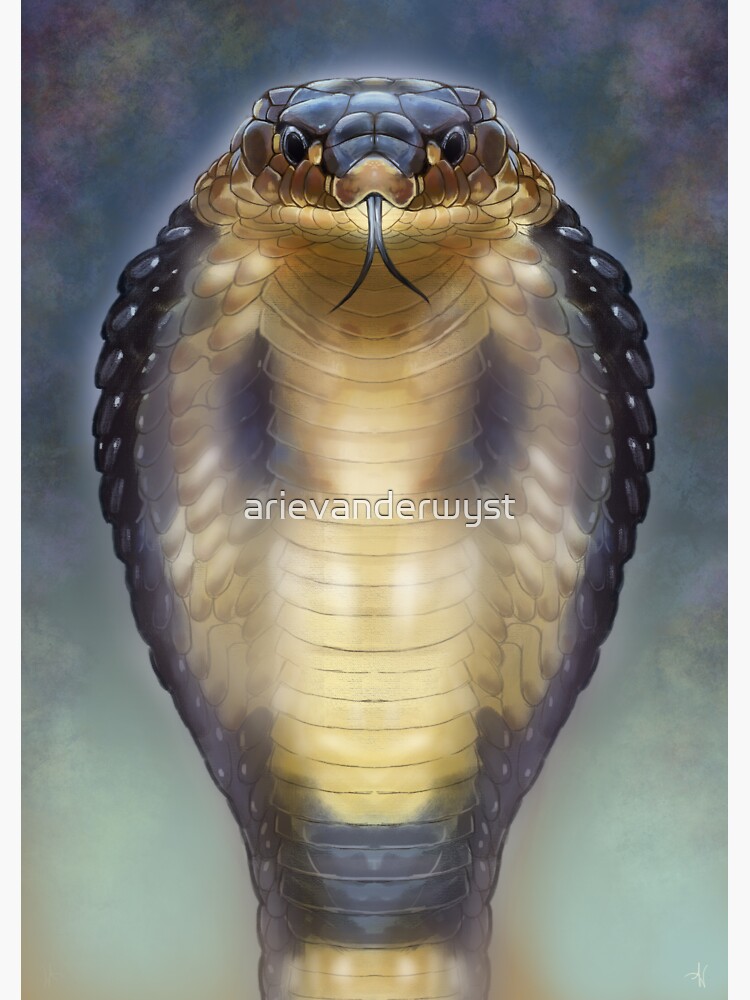 "King Cobra" Sticker by arievanderwyst | Redbubble