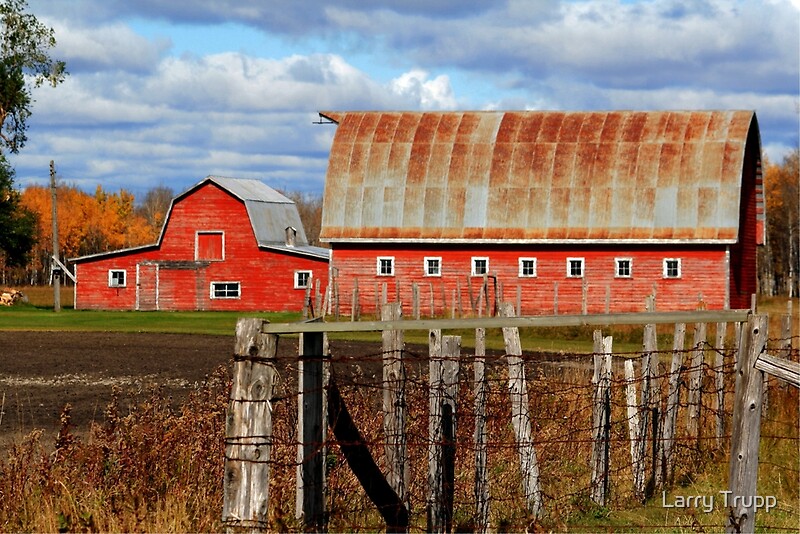 "Double Red!!!" by Larry Trupp | Redbubble