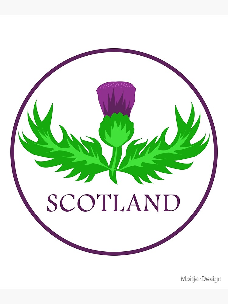 Scotland Thistle Logo Floral Emblem Scotland Notsomuch Thistle