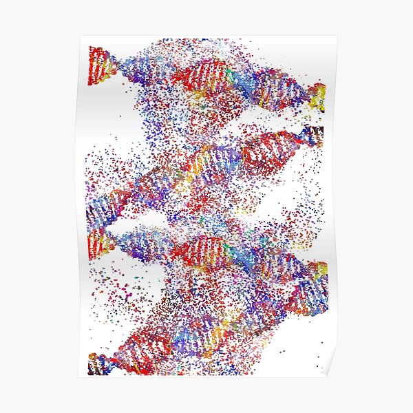 "DNA molecule, DNA" Poster for Sale by Rosaliartbook | Redbubble