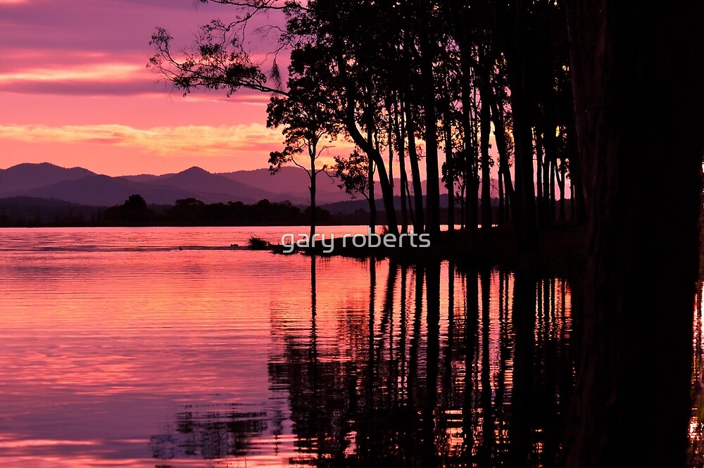 "lake samsonvale, queensland, australia" by gary roberts | Redbubble