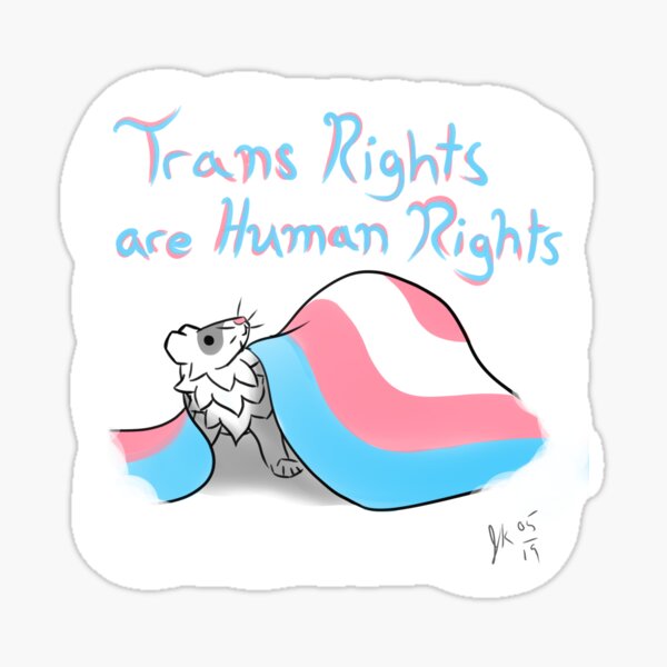 "Trans Rights Ferret!" Sticker by Itoma | Redbubble