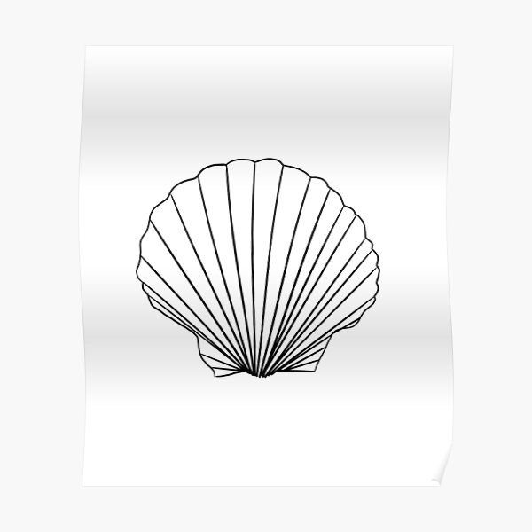"Seashell sketch Shell nautical art beach outline" Poster for Sale by ...