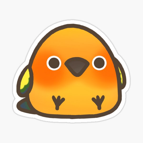 Sun Conure Stickers | Redbubble