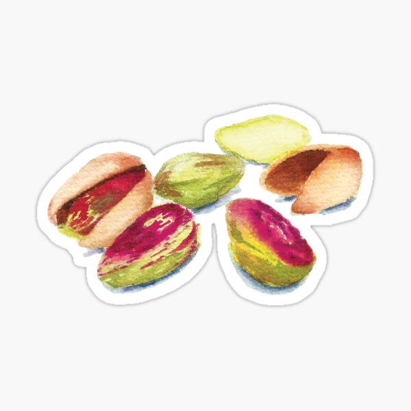"watercolor Pistachio" Sticker by raghda-s-m | Redbubble