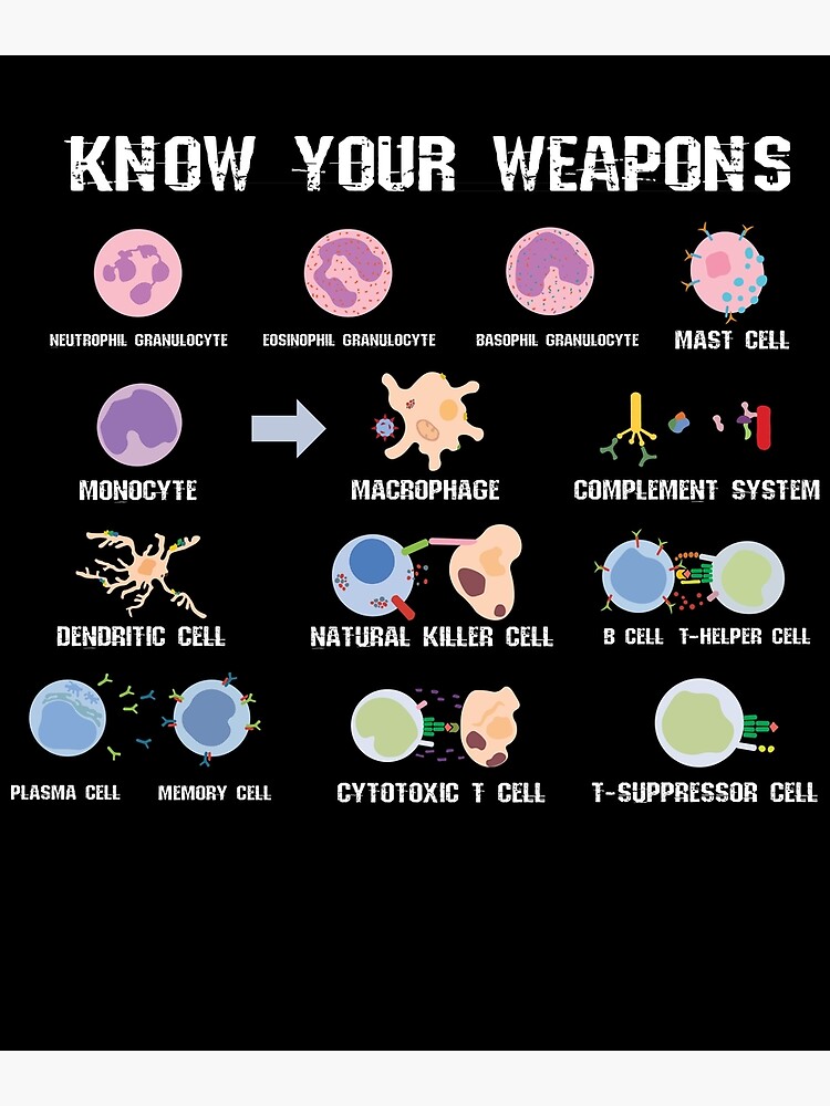 "Biologist cells enzymes" Poster by xGatherSeven | Redbubble