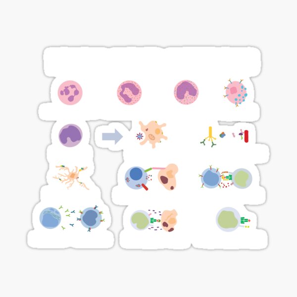 "Biologist cells enzymes" Sticker for Sale by xGatherSeven | Redbubble