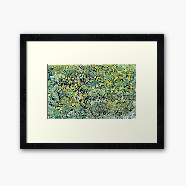 "Vincent van Gogh Dandelion" Framed Art Print for Sale by pdgraphics ...