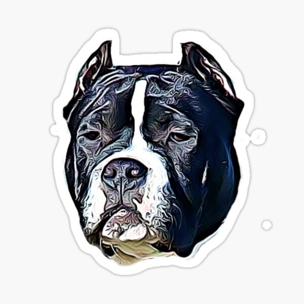 "American Bully dog " Sticker for Sale by ritmoboxers | Redbubble