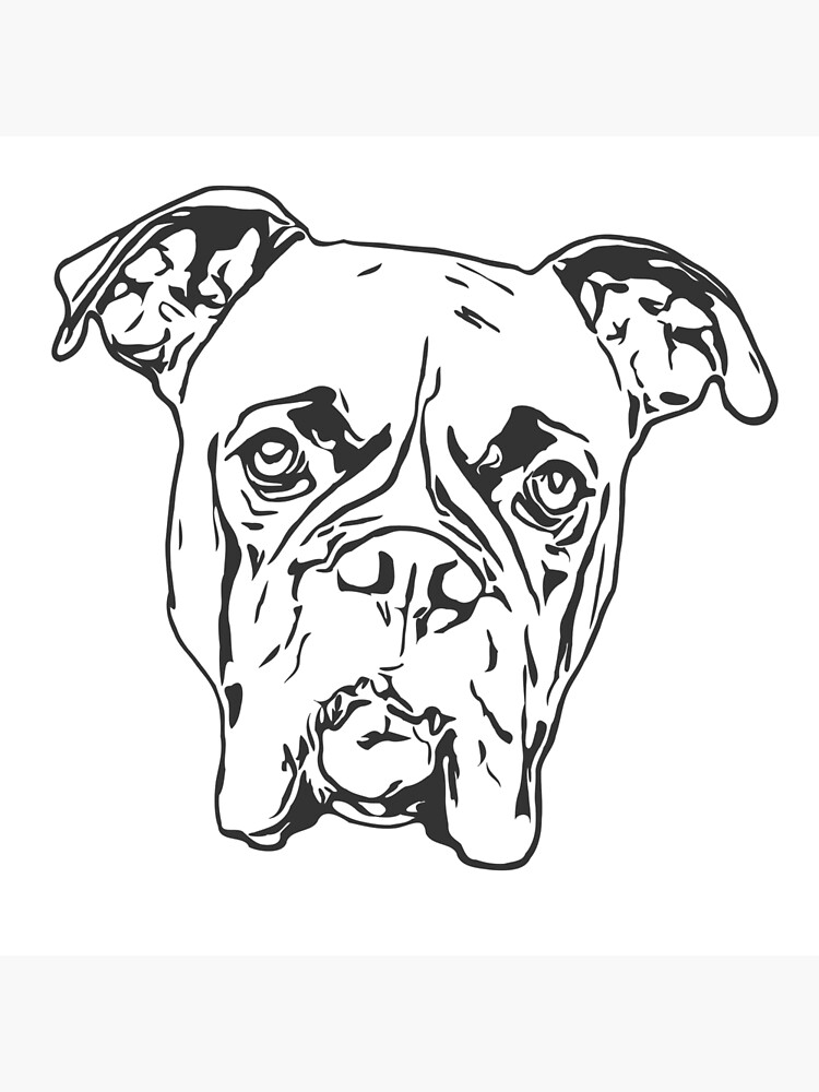 "Boxer Line Art" Poster by fionaviaje | Redbubble