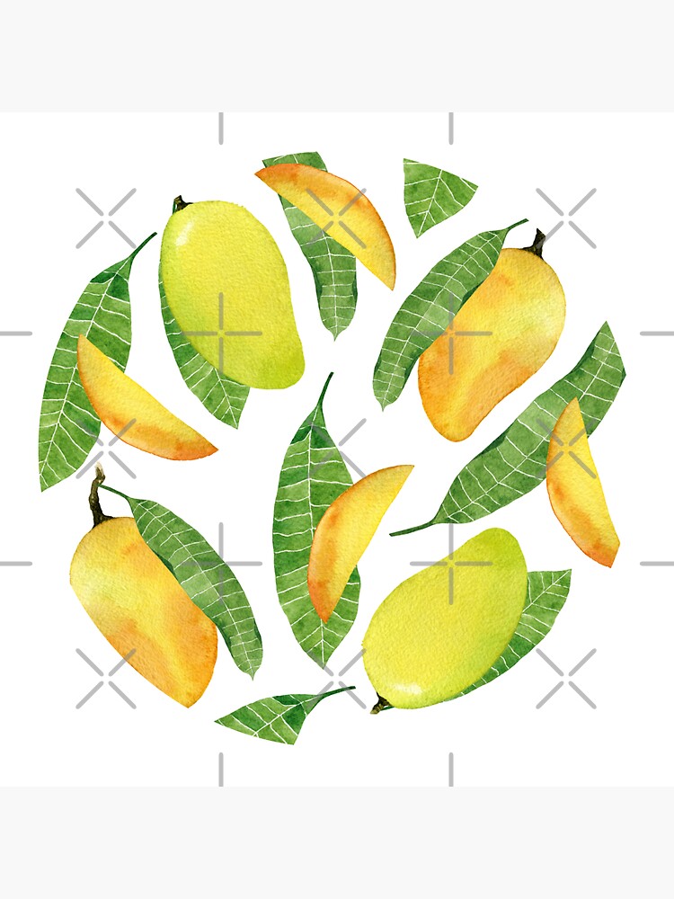 "Mango circle" Sticker for Sale by Mesori | Redbubble
