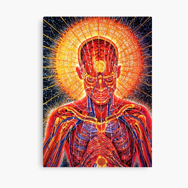 Alex Grey Canvas Prints | Redbubble