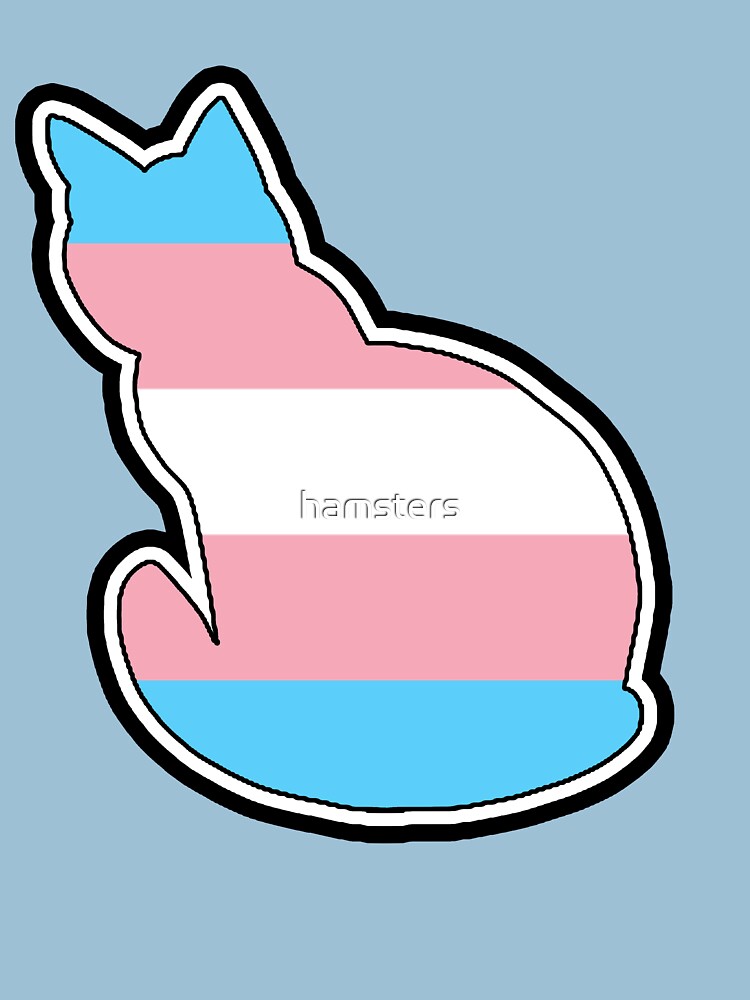 "Kitty Trans Pride" T-shirt by hamsters | Redbubble
