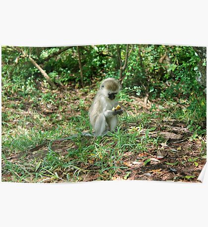 Disappointed: Posters | Redbubble