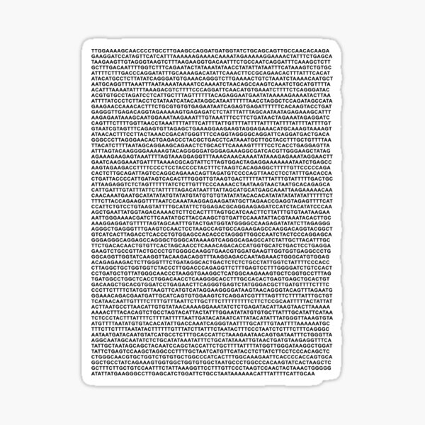 "Hemoglobin DNA Sequence" Sticker by WindWardArt | Redbubble