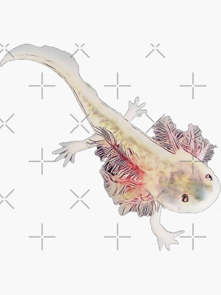 "Rampu the Axolotl - Faded" Sticker for Sale by DoodlePets | Redbubble