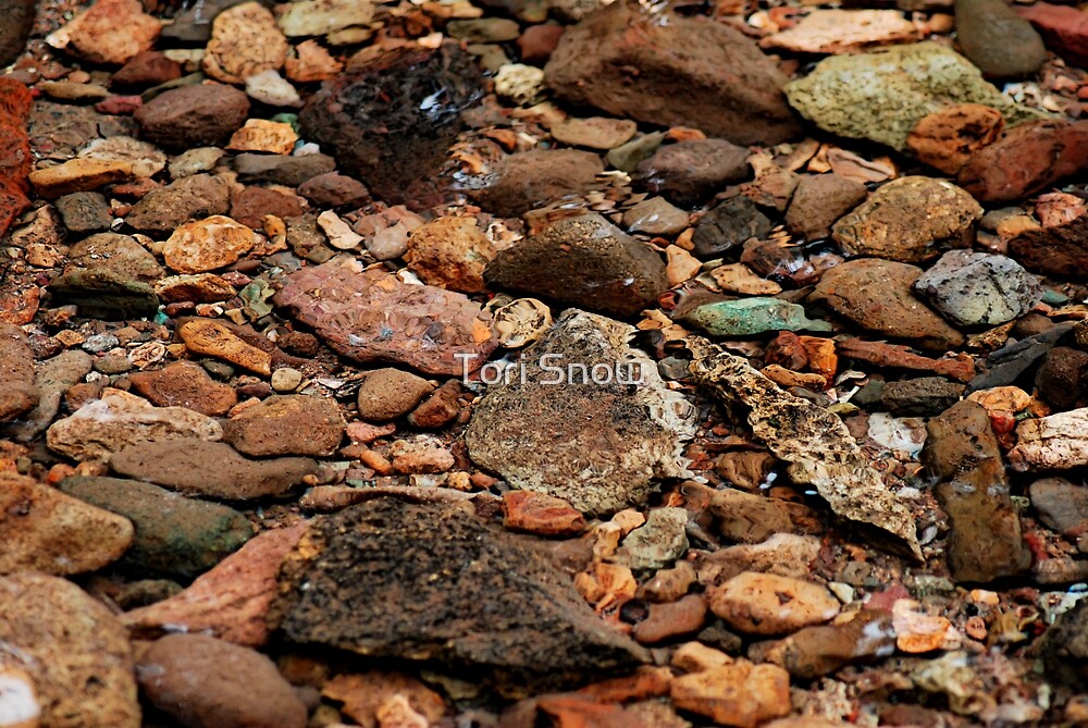 "Underwater River Rocks" by Tori Snow | Redbubble