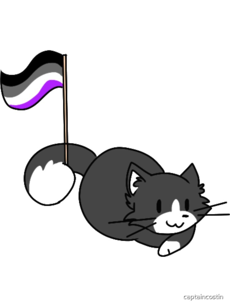 Asexual Flag Cat By Captaincostin Redbubble