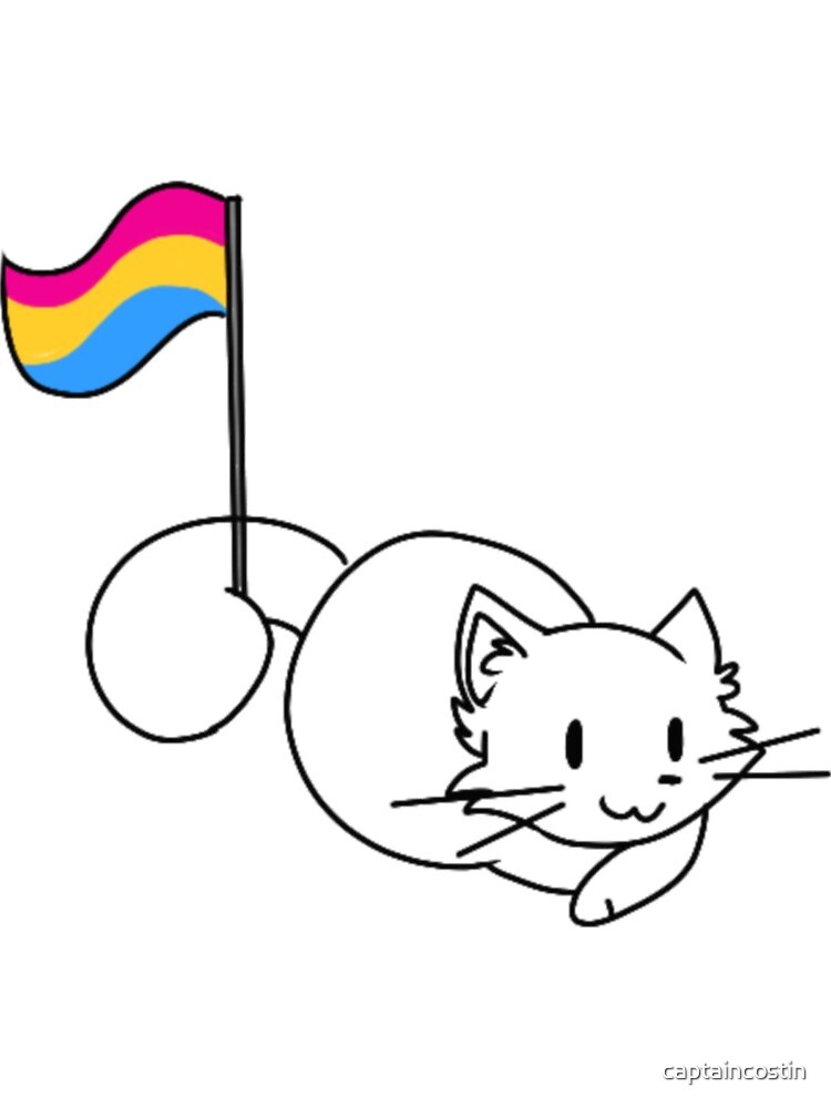 "Pansexual Flag Cat" by captaincostin | Redbubble