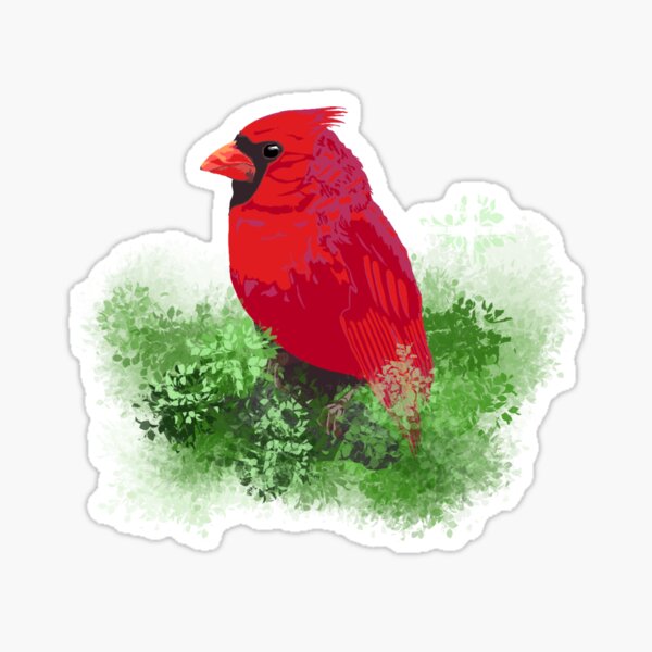 "Cardinal" Sticker for Sale by Safaa0 | Redbubble