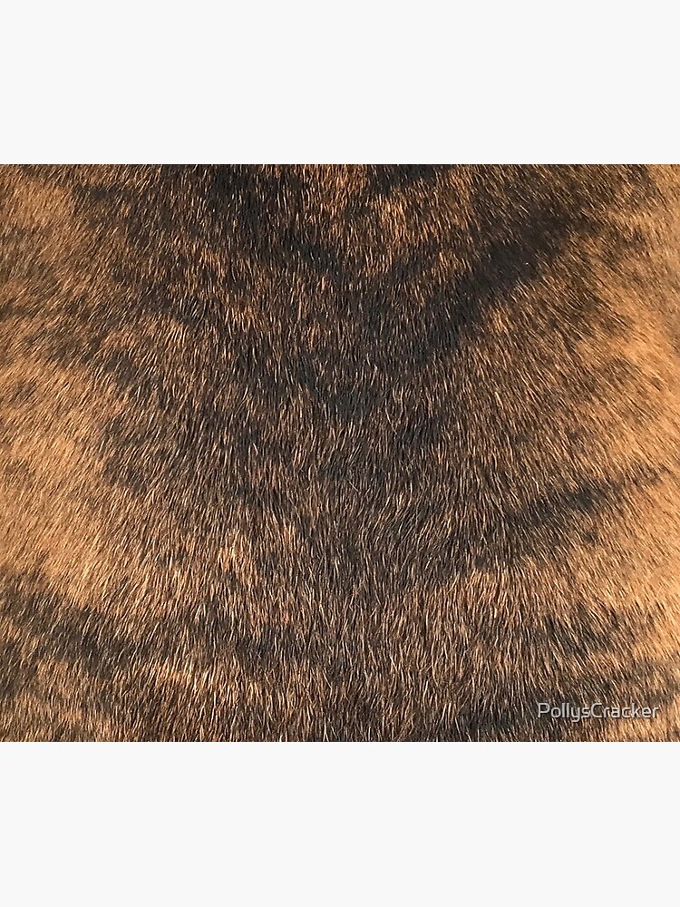 "Brindle Animal Print, Brown Brindle Dog" Throw Blanket for Sale by ...
