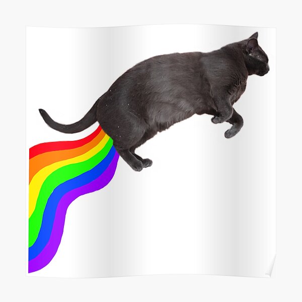 "Fliegende Katze mit Regenbogen" Poster von itsJOUY | Redbubble