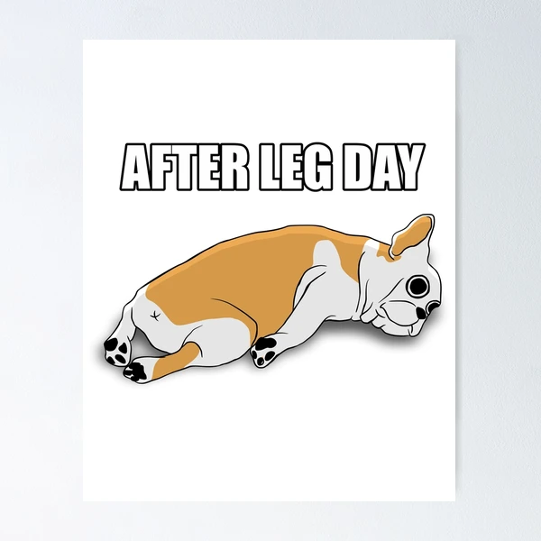 Dog Leg Day Memes I Cant Feel Them Anymore 😭 #boxing