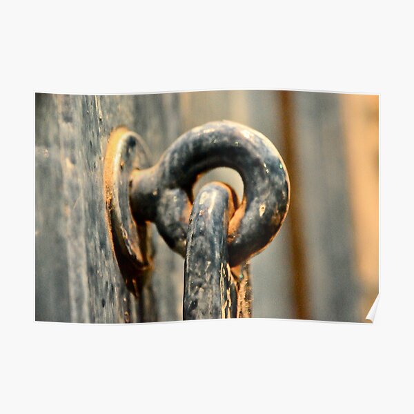 "Intertwined" Poster for Sale by bareri | Redbubble