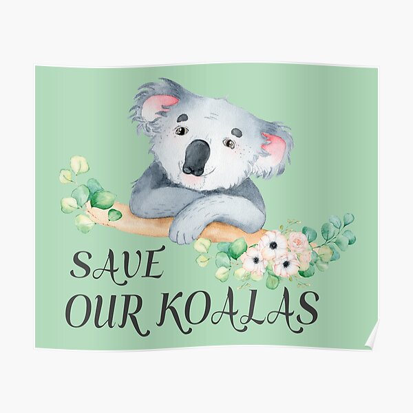 "Save our Koalas with cute Australian koala and gum leaves" Poster by ...