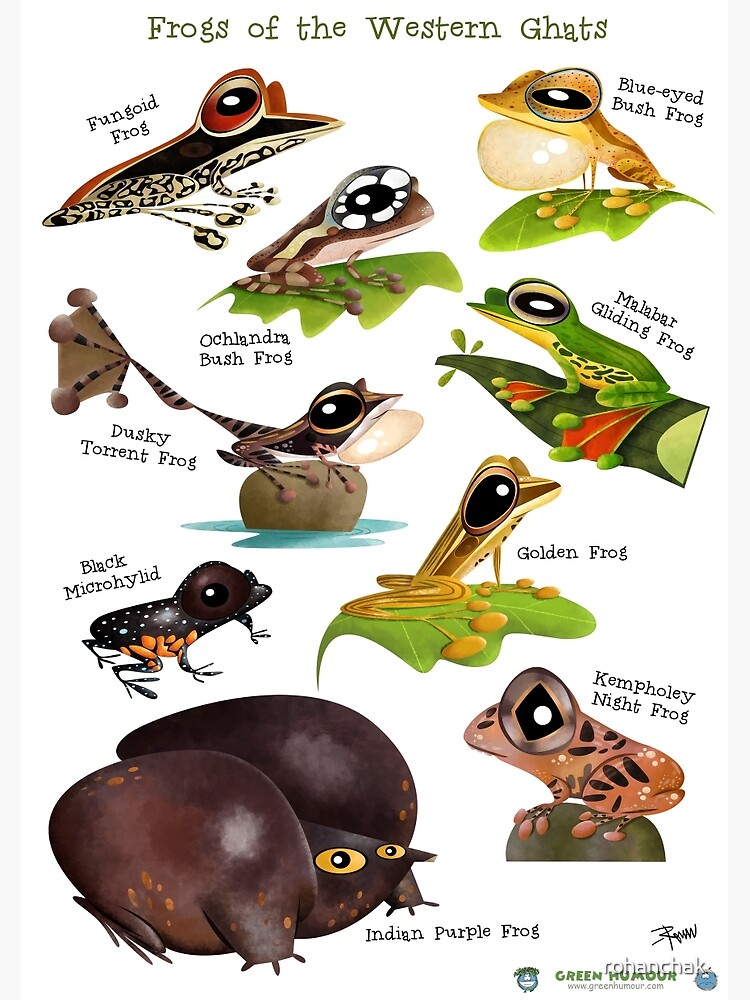 "Frogs of the Western Ghats" Art Print by rohanchak | Redbubble