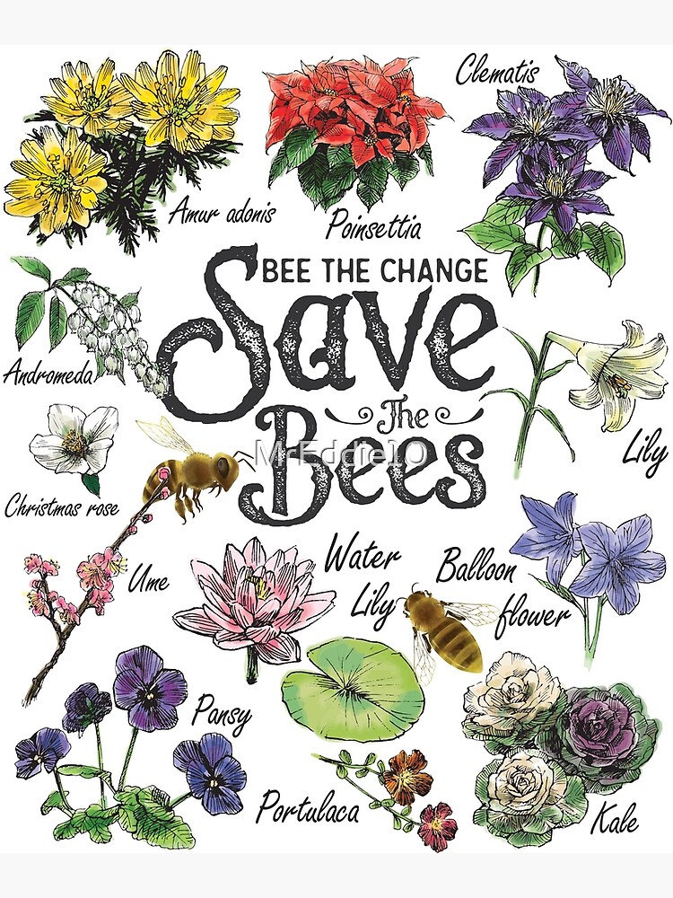 "Save The Bees Flowers Honey Bee Decline Clipart " Poster by MrEddie10 ...