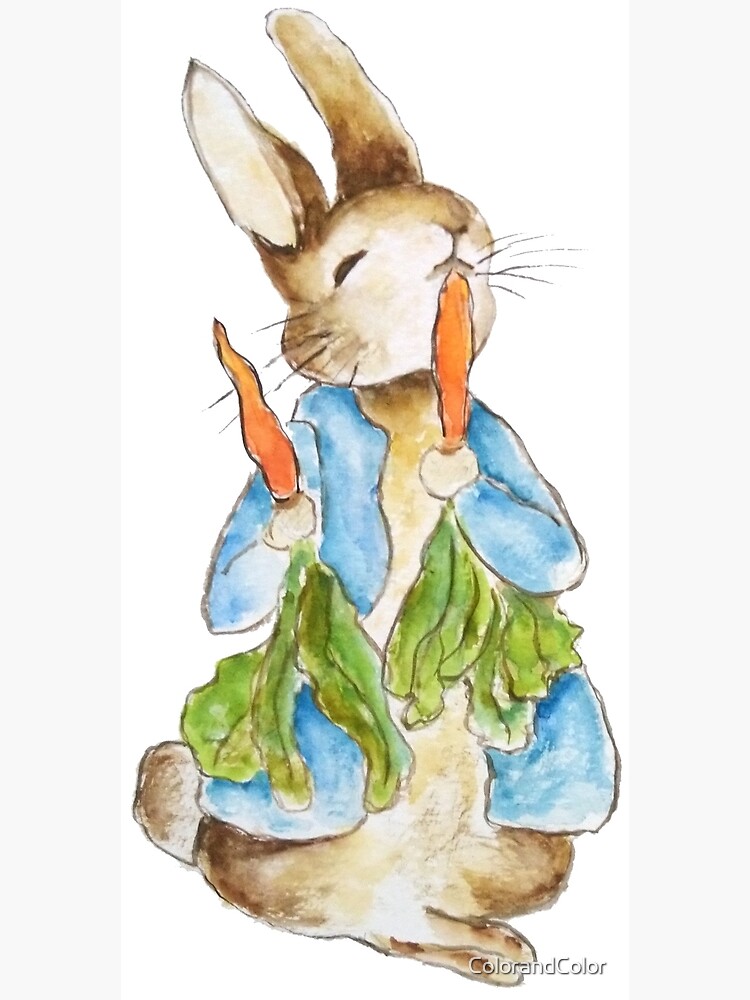 "Cute Peter Rabbit eating carrot" Photographic Print for Sale by ...