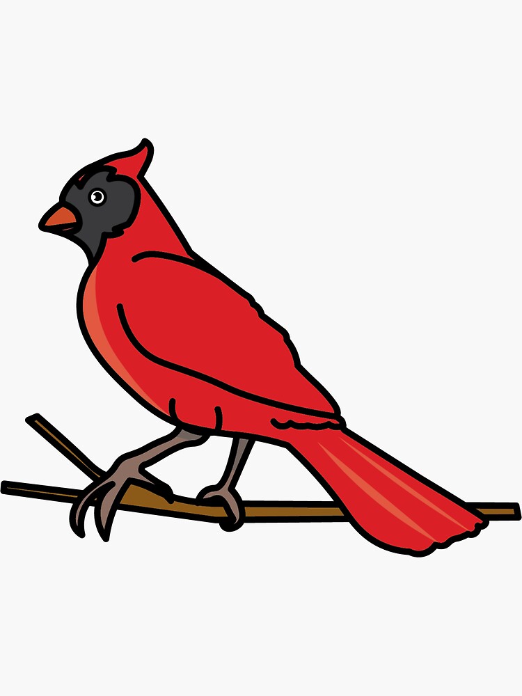 "Robin" Sticker by christiwilbert | Redbubble