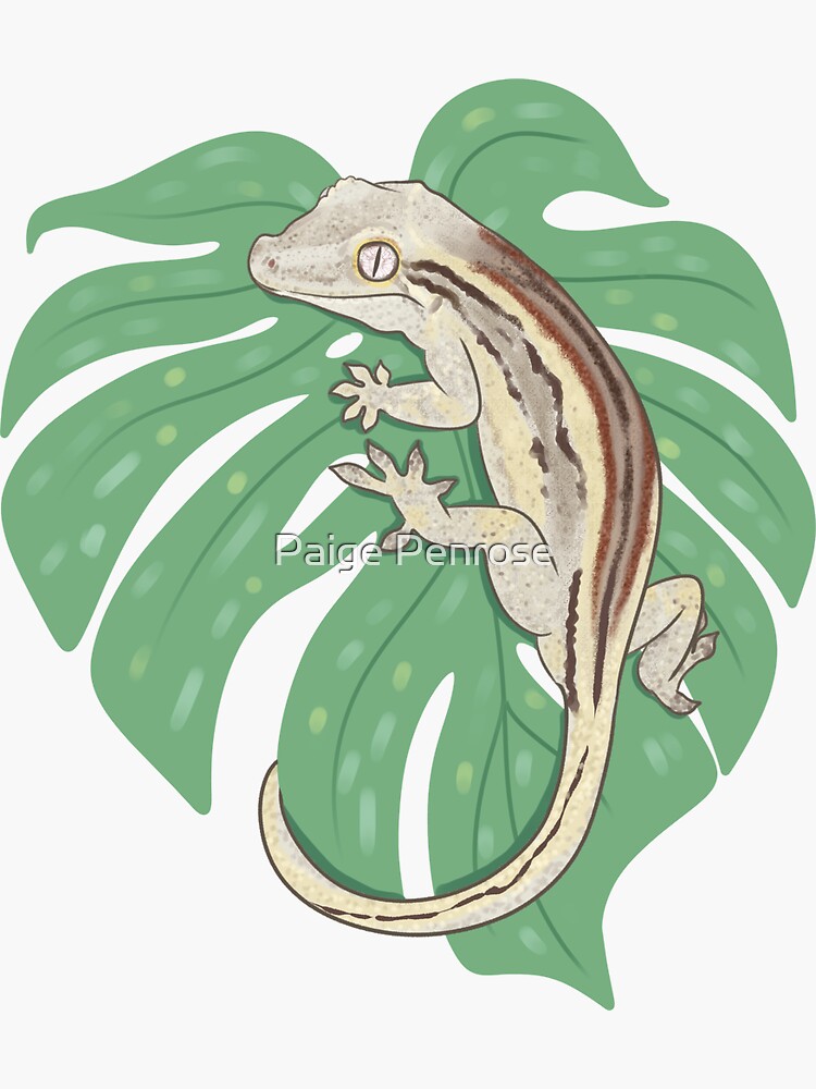 "Gargoyle Gecko & Monstera" Sticker for Sale by starrypaige | Redbubble