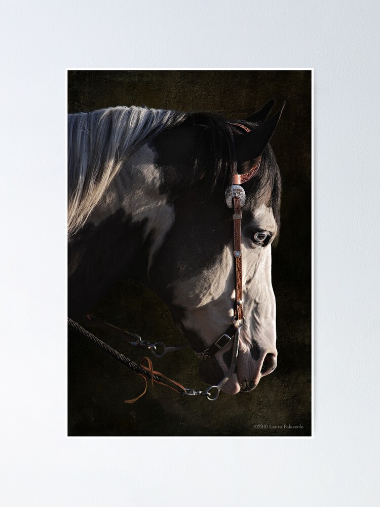 "Max - Portrait of a Stallion" Poster by PonyGirl2 | Redbubble