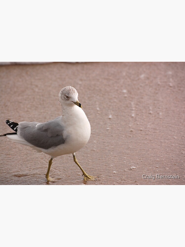"Walking Tall" Sticker for Sale by cbernstein | Redbubble