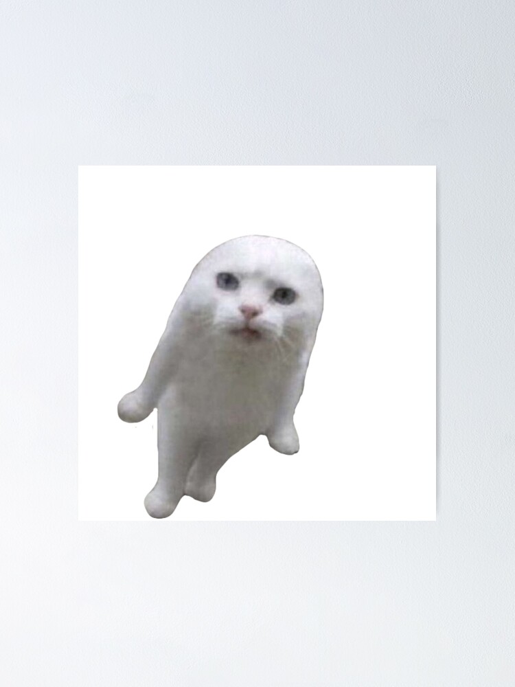 "angry catto" Poster for Sale by savebeesplease | Redbubble