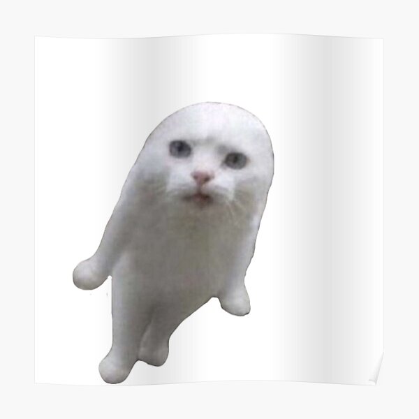 "angry catto" Poster for Sale by savebeesplease | Redbubble